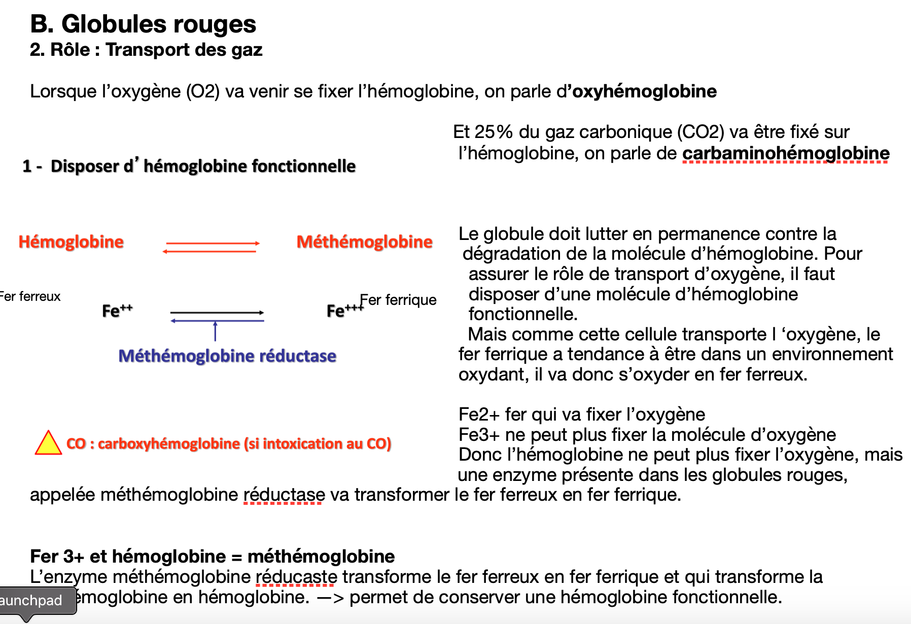 Différence plateau strié et bordure en brosse - UE2 - Histologie ...