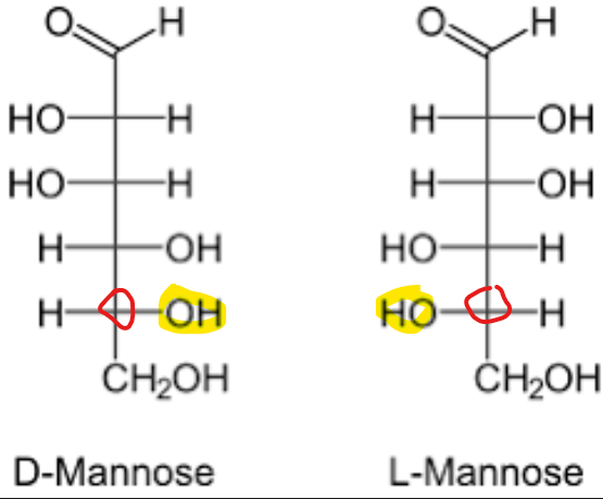 Pourquoi la D-Mannose est de la série D? - UE1 - Biochimie - Tutorat Associatif Toulousain